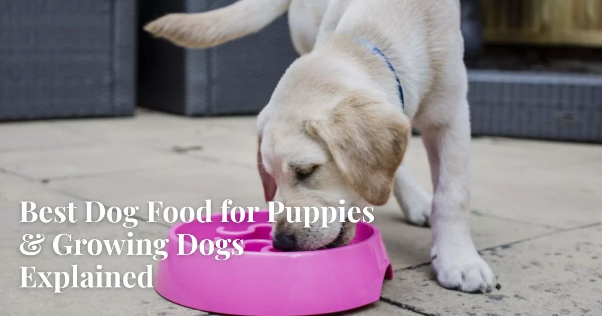 Best Dog Food for Puppies and Growing Dogs